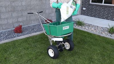 Lawn Treatment Schedule | Pristine Cuts